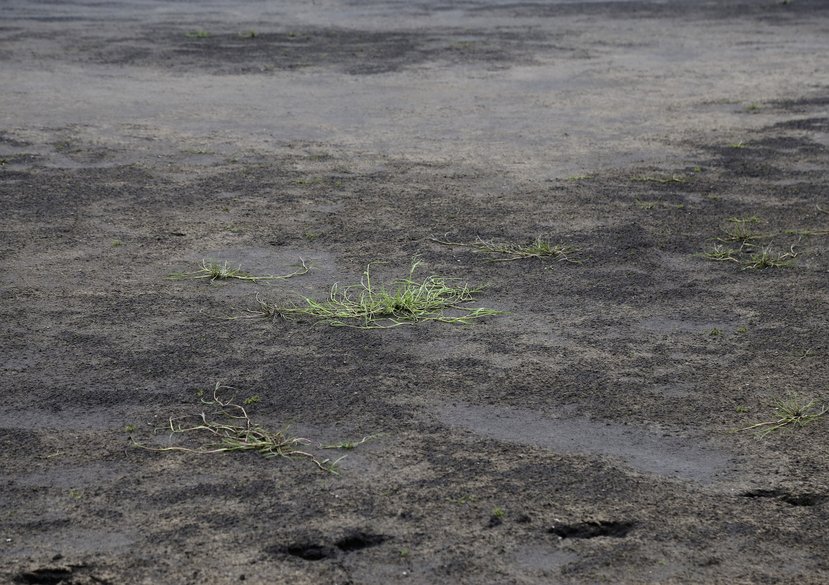 Mingxin Li | Royal College of Art