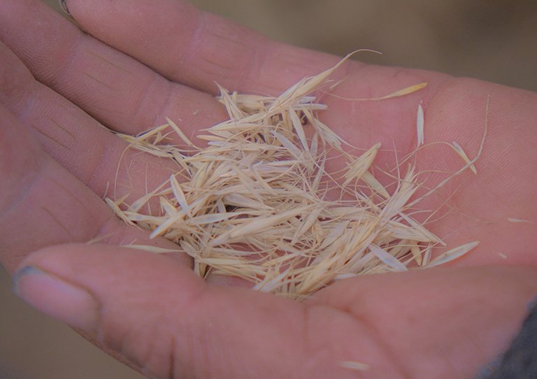 Mingxin Li | Royal College of Art