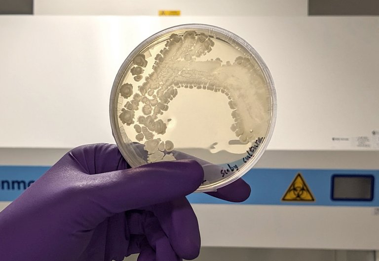Announcing the second year of the Bio Lab Residencies | Royal College ...