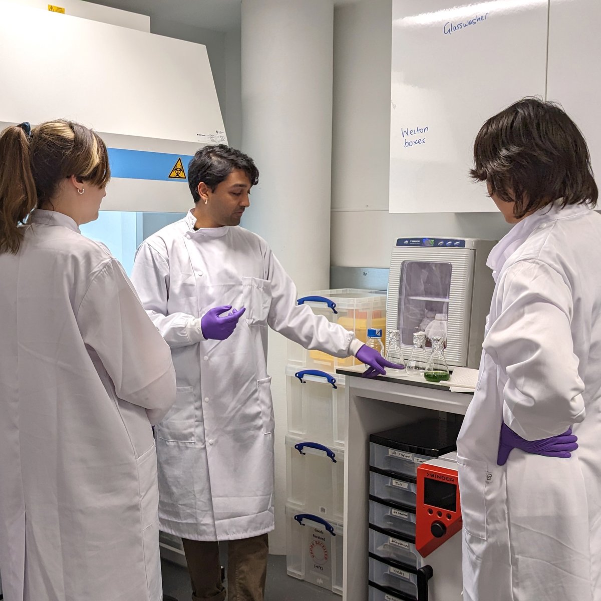 Announcing the second year of Materials Science Research Centre Bio Lab ...