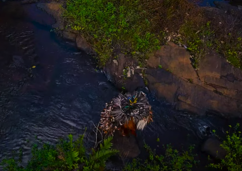 Photography MA | Royal College of Art