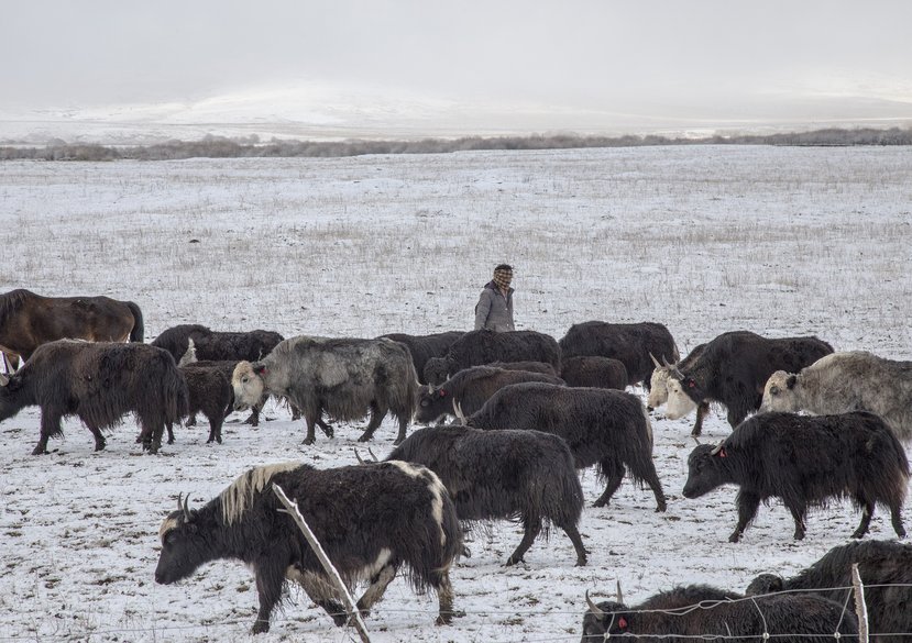 Mingxin Li | Royal College of Art