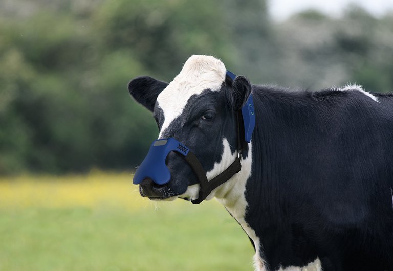 ZELP: Reducing Methane in Agriculture | Royal College of Art