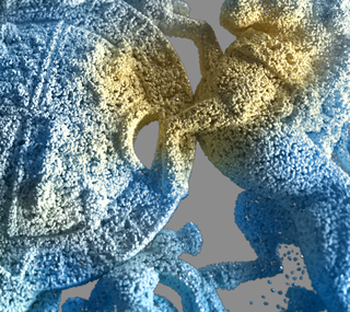 RCA2025: School of Arts & Humanities Show | Royal College of Art